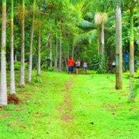 Encounter with Robert Louis Stevenson & Mont Vaea