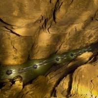 Waitomo Day Tour - Black Labyrinth